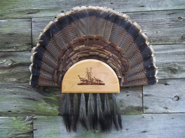 Single Fan & Beard Combo - Turkey Fan Man Products